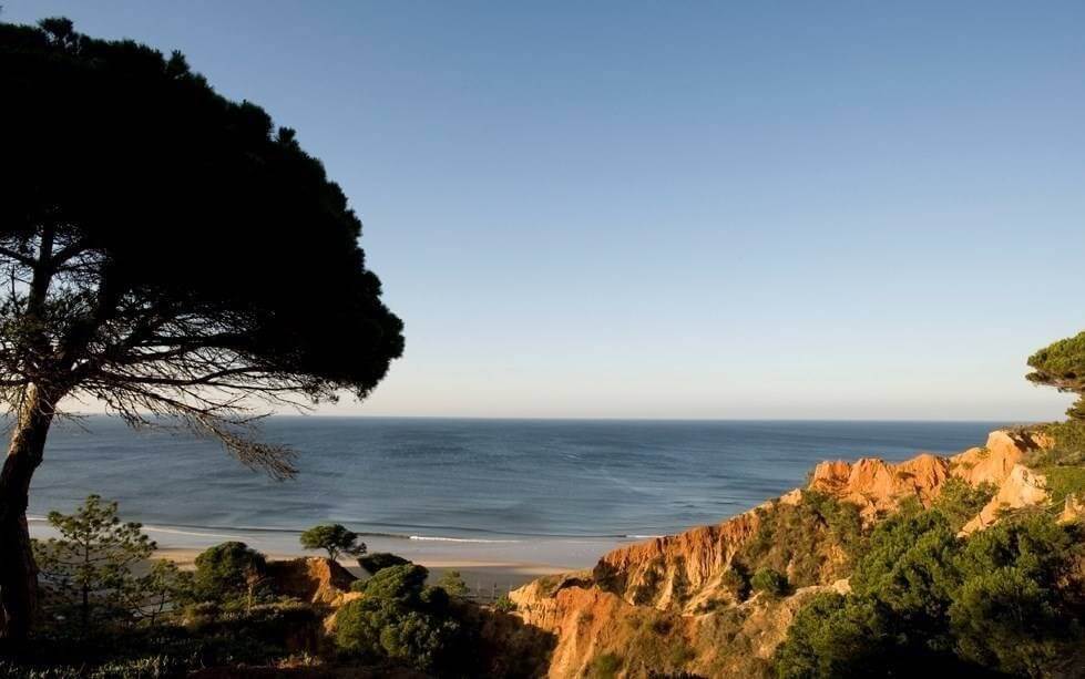 Viewpoints | PortoBay Falésia | PortoBay Hotels & Resorts