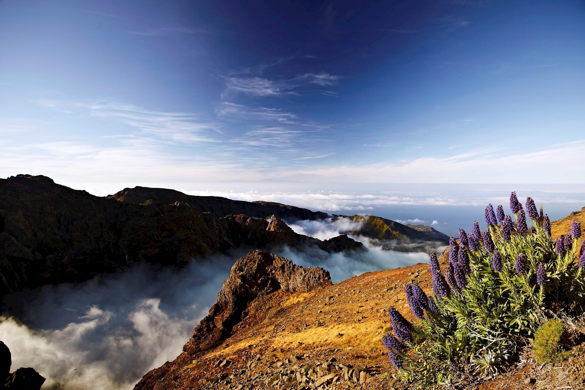 Wildfires on Madeira Island | News | PortoBay Hotels & Resorts