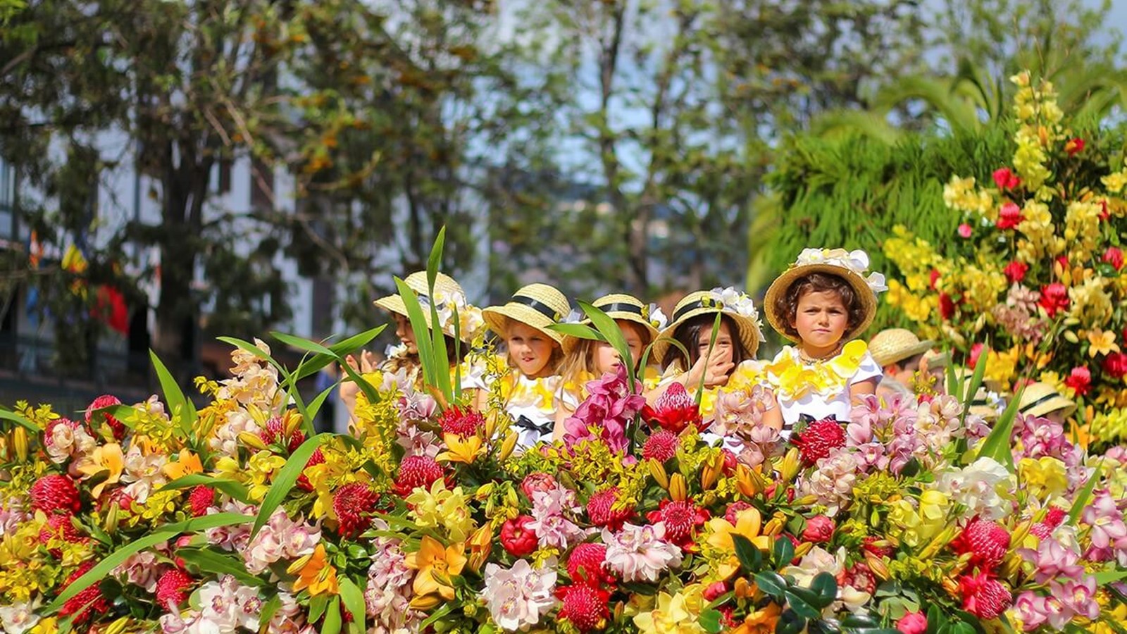 Madeira Flower Festival 2024 Dates Calendar - Janey Margaretha Madeira Flower Festival 2024 Dates Calendar - Janey Margaretha